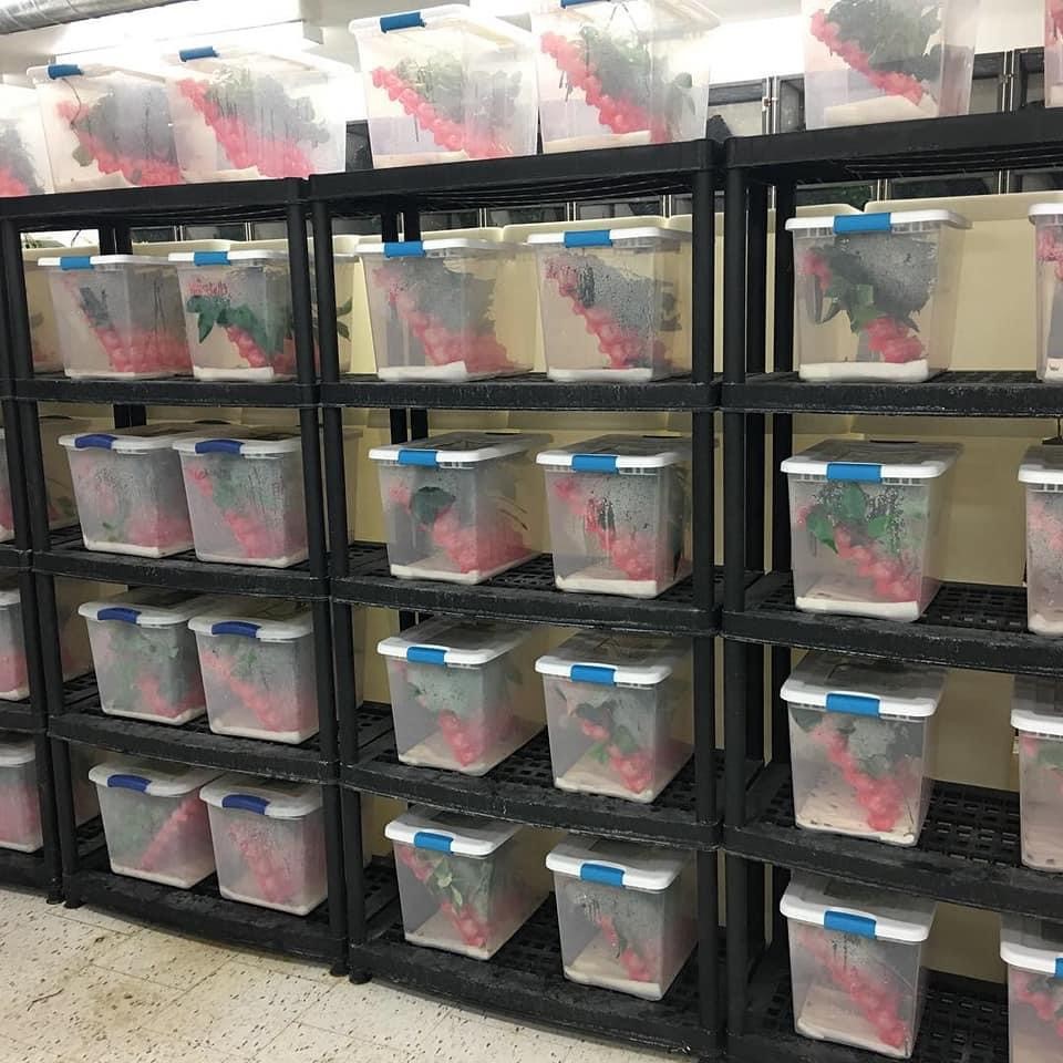 Our Facility | The Urban Reptile